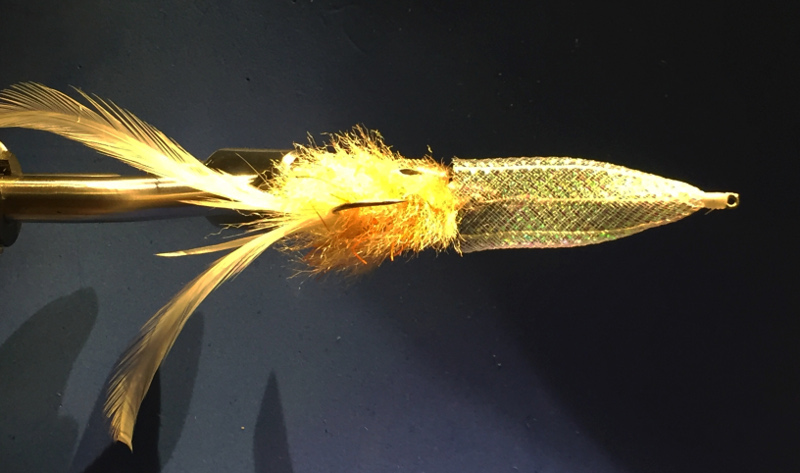 Striped Bass squid Flies - Page 6 - Fly Fishing - SurfTalk